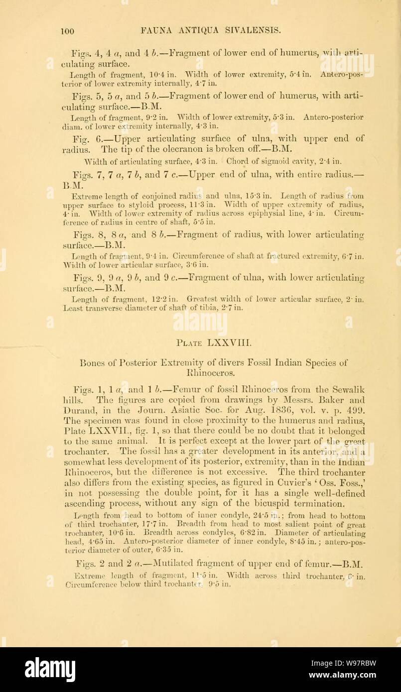 Description of the plates of the Fauna antiqua sivalensis (Page 100 ...