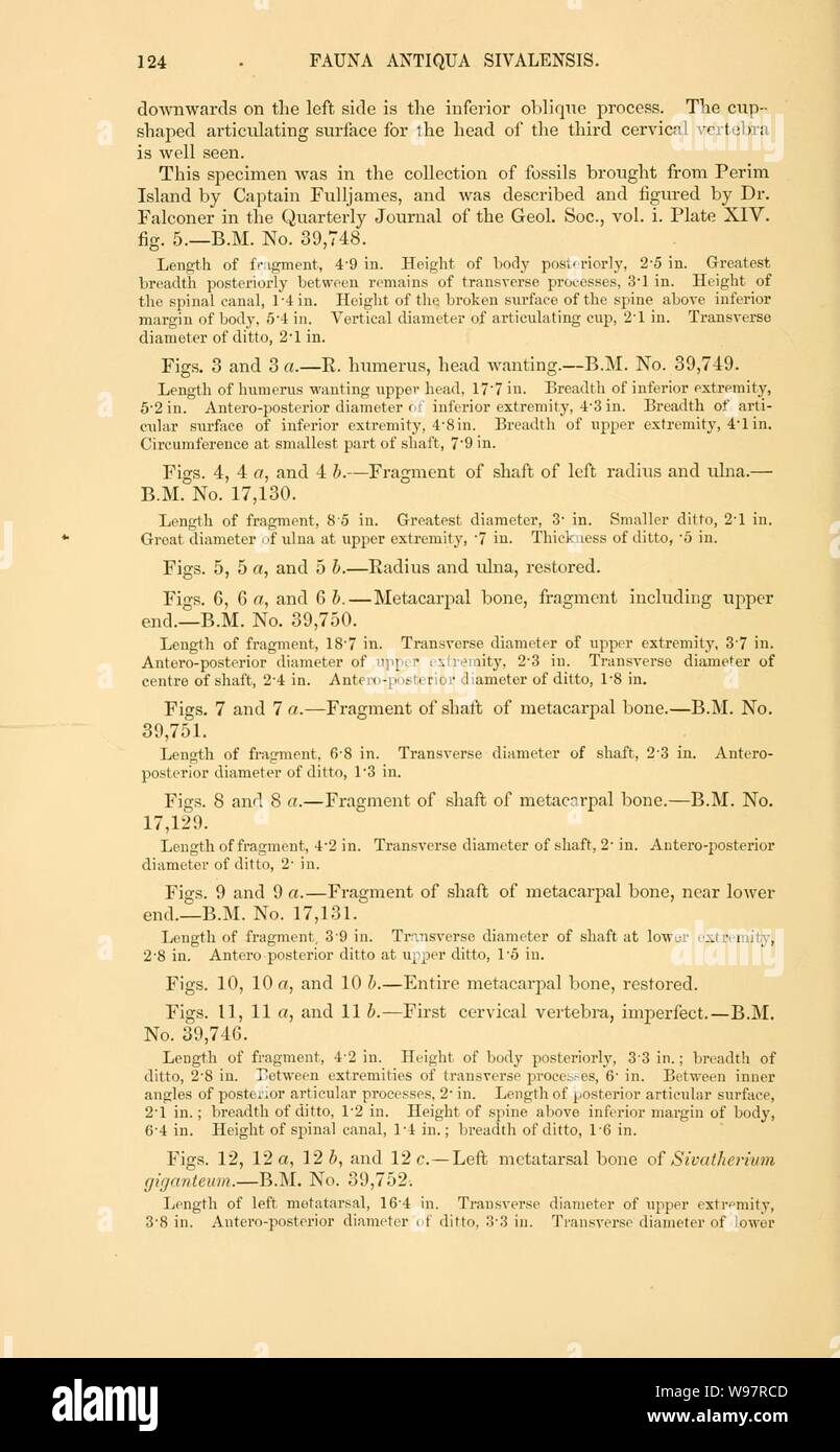 Description of the plates of the Fauna antiqua sivalensis (Page 124 ...
