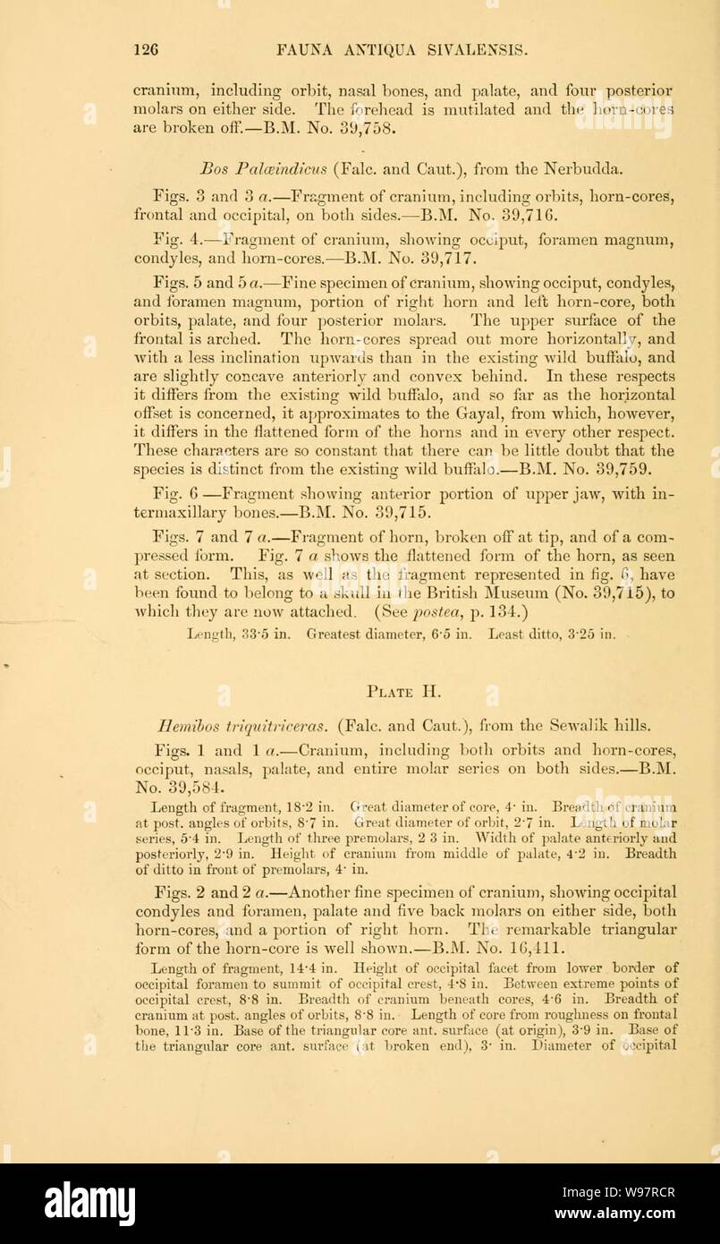 Description of the plates of the Fauna antiqua sivalensis (Page 126 ...