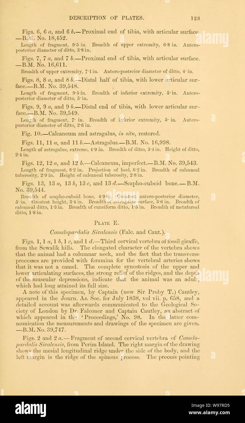 Description of the plates of the Fauna antiqua sivalensis (Page 123 ...