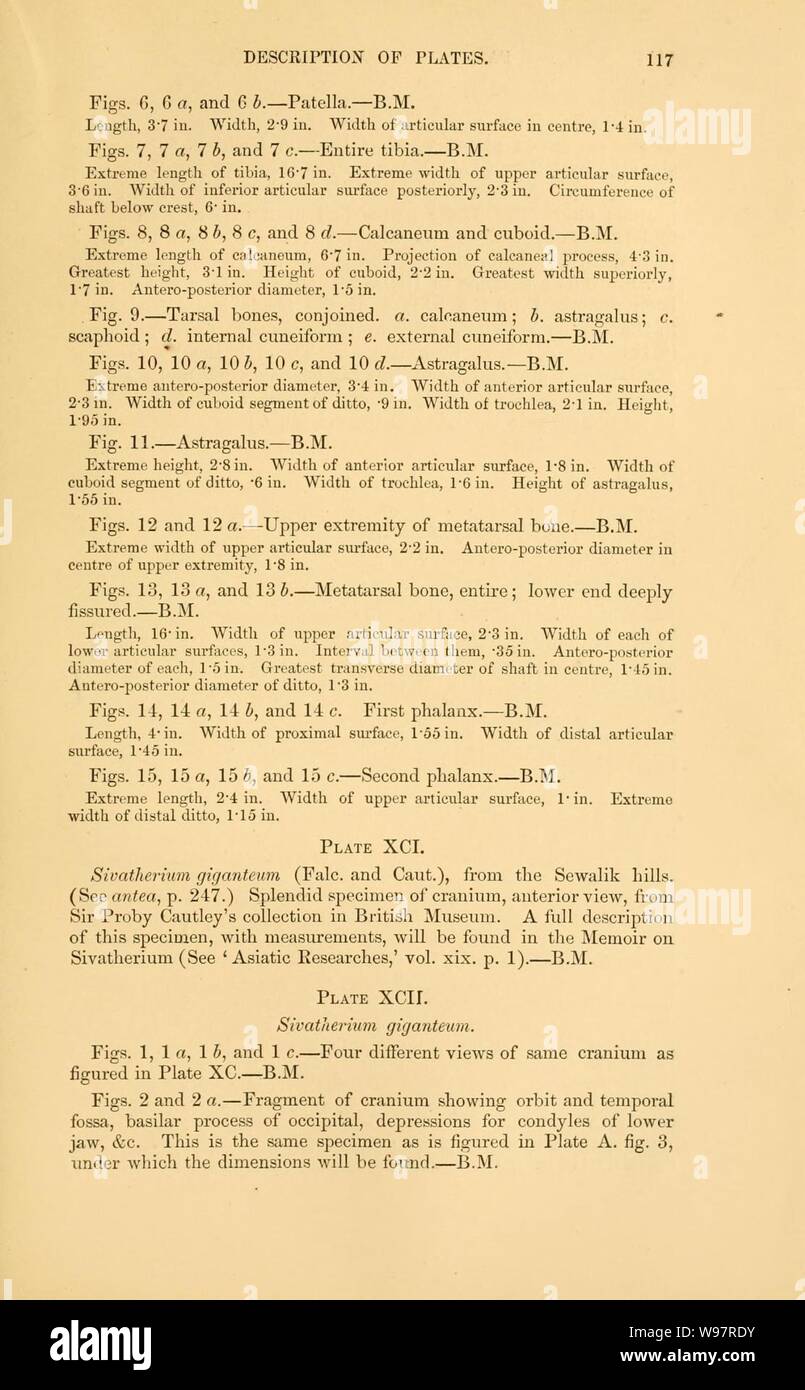Description of the plates of the Fauna antiqua sivalensis (Page 117 ...