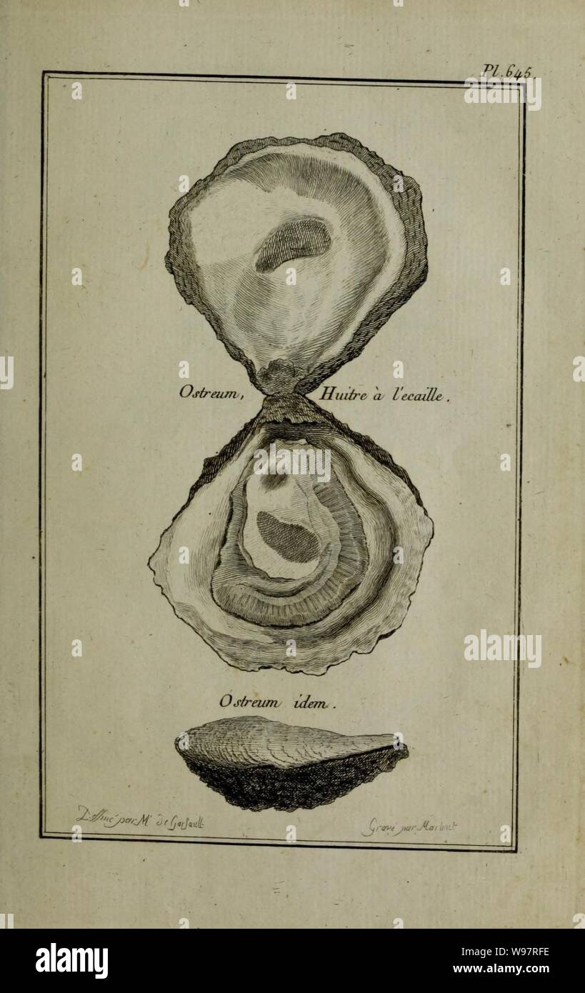 Description, vertus et usages de sept cents dix-neuf plantes (Plate 645 ...