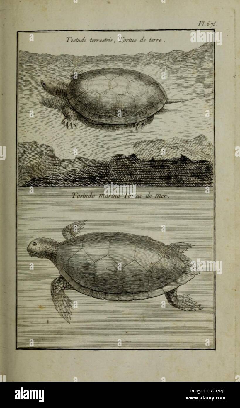 Description, vertus et usages de sept cents dix-neuf plantes (Plate 675 ...