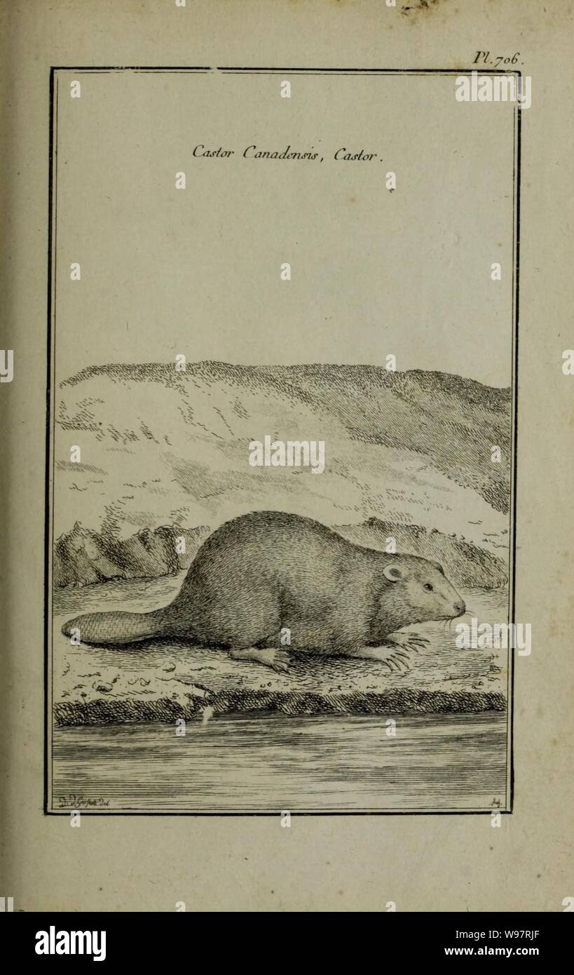 Dix neuf hi-res stock photography and images - Alamy