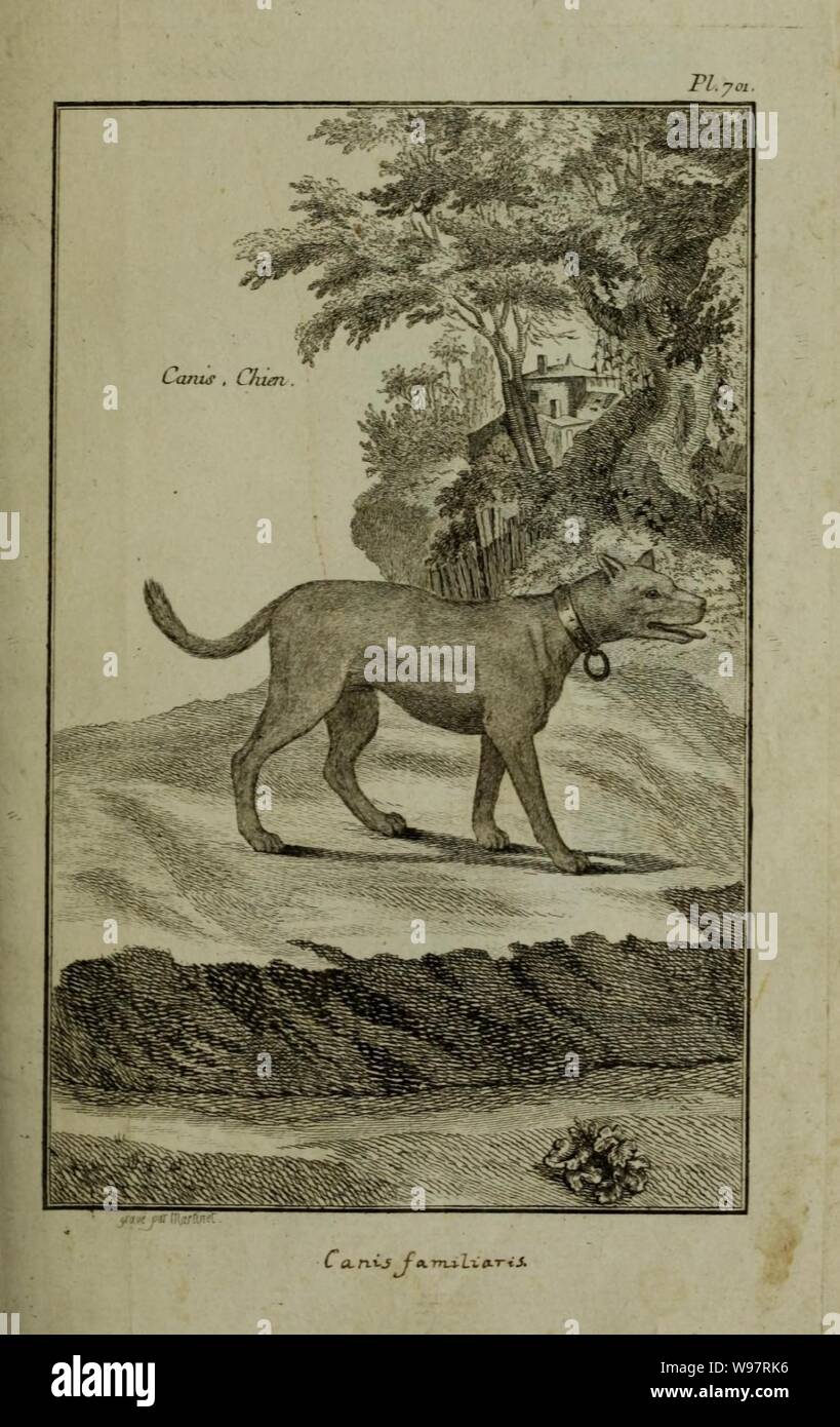 Description, vertus et usages de sept cents dix-neuf plantes (Plate 701 ...