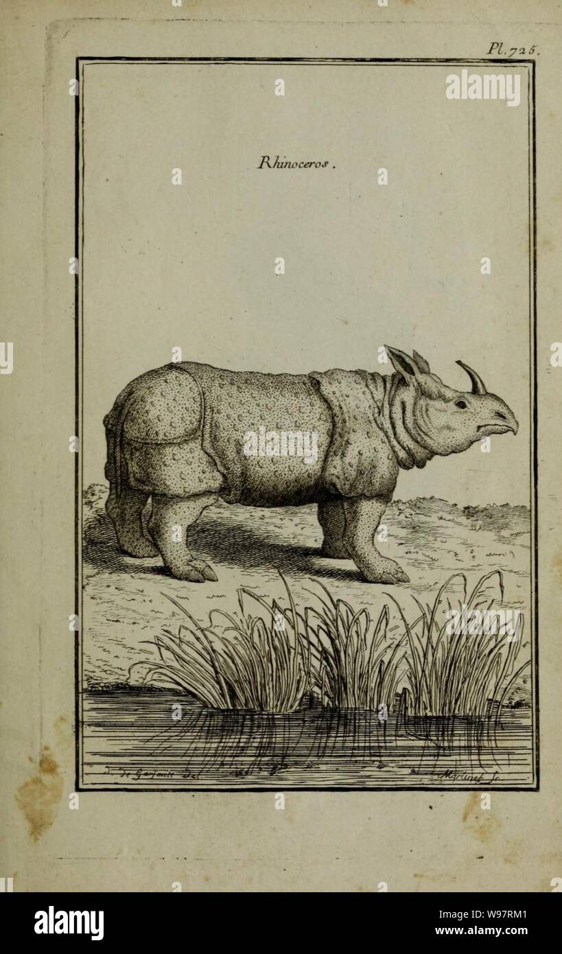 Description, vertus et usages de sept cents dix-neuf plantes (Plate 725 ...