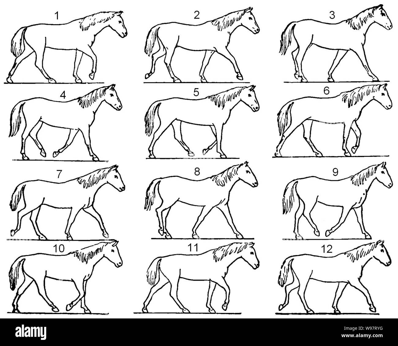 Descriptive reference Cut Out Stock Images & Pictures - Alamy