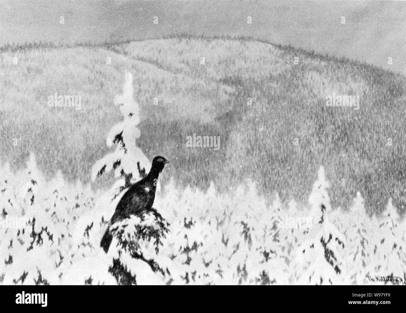 Sner hi-res stock photography and images - Alamy