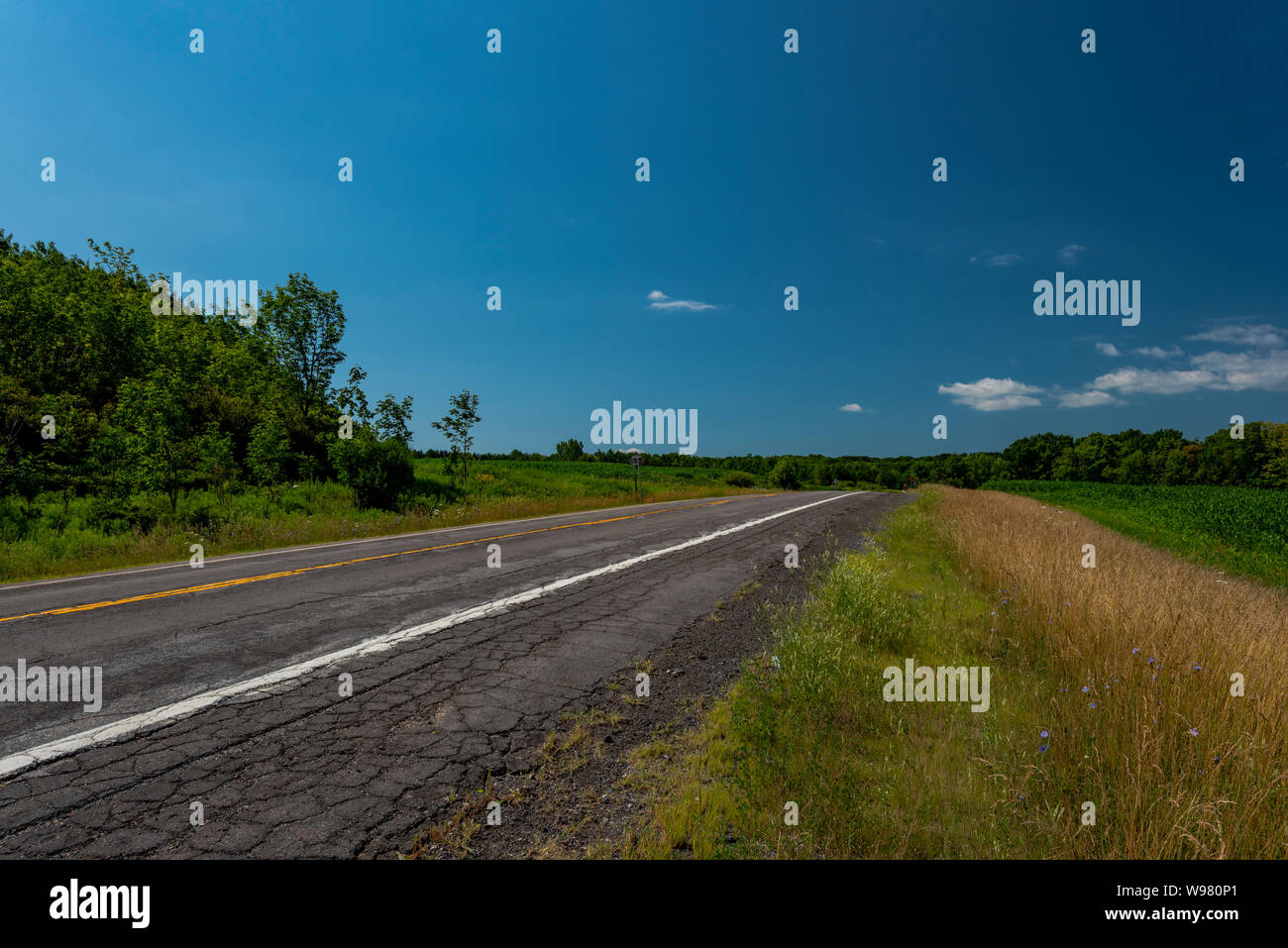 Country road going through the corn fields Stock Photo - Alamy