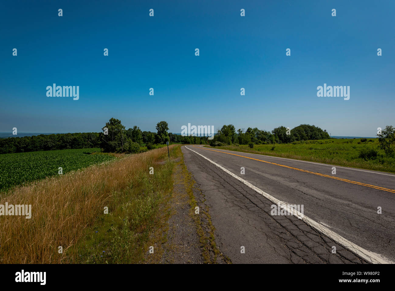 Country road going through the corn fields Stock Photo - Alamy