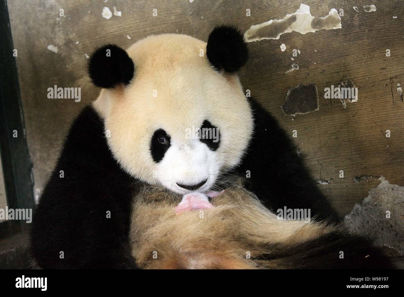 Olympics Mascot High Resolution Stock Photography and Images - Alamy