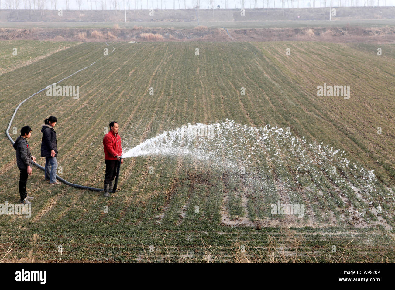 Chinese farmers irrigate their wheat fields during a drought in Caiqiao ...