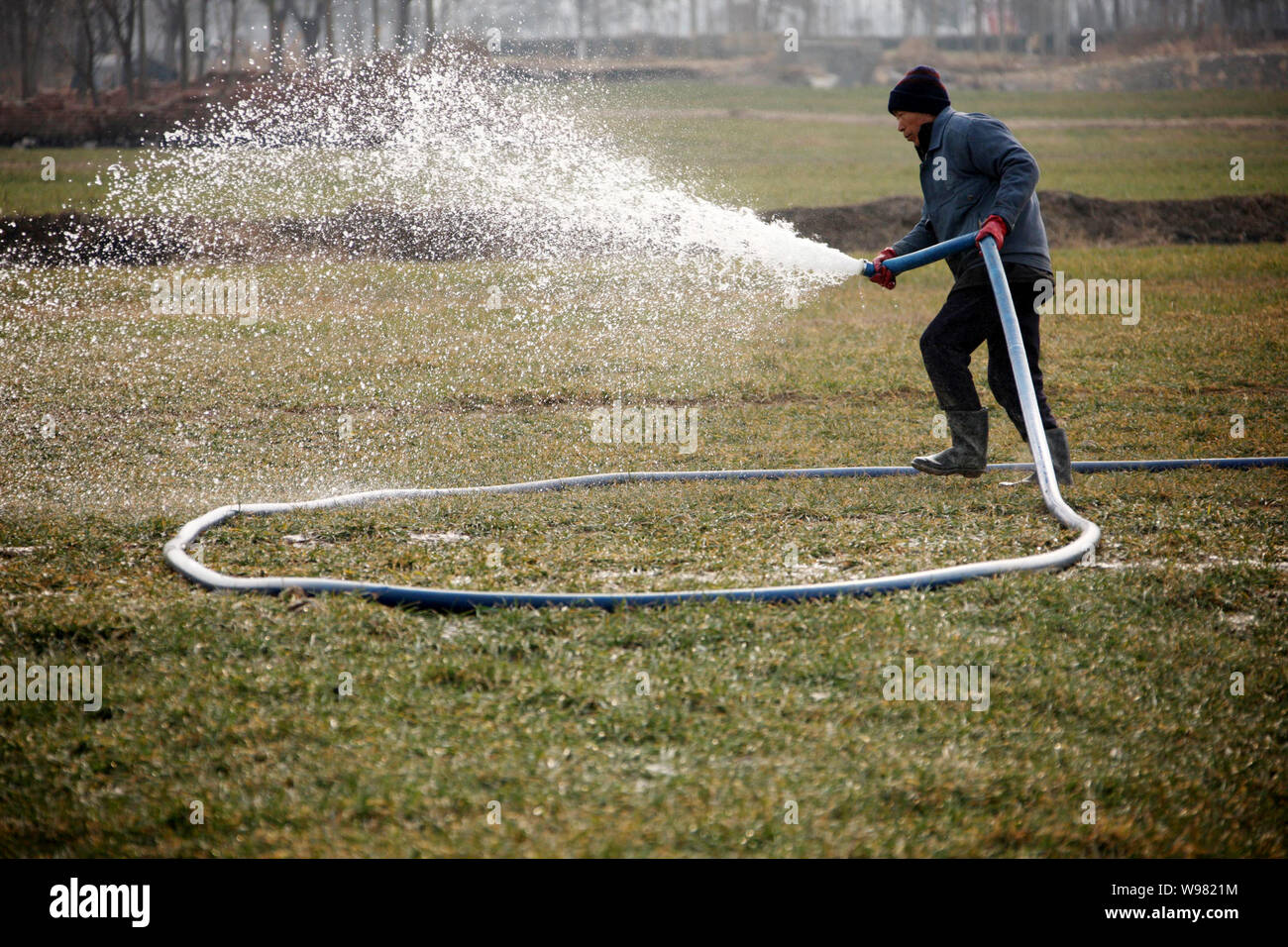 A Chinese farmer hoses his nearly dried-up wheat fields for irrigation ...