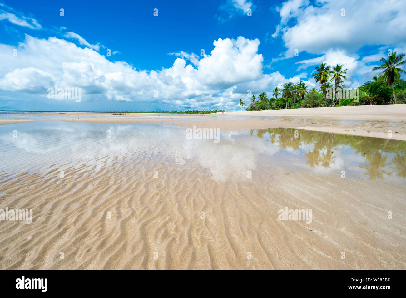 Bright scenic view of sand ripples in wave patterns on the shallows of ...