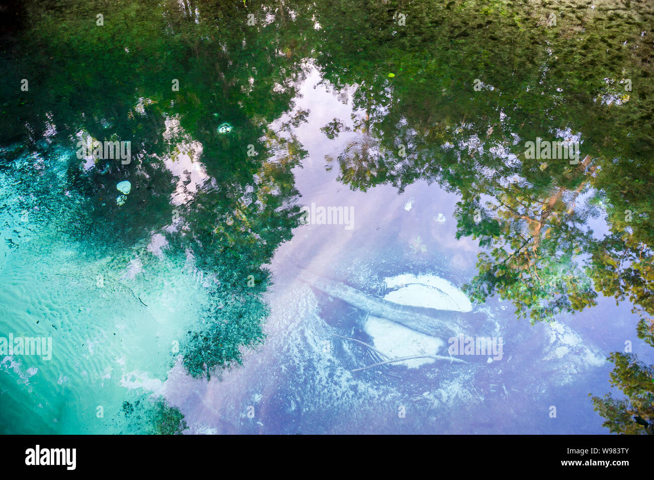 Still morning view of pristine crystal clear springs bubbling up in the ...