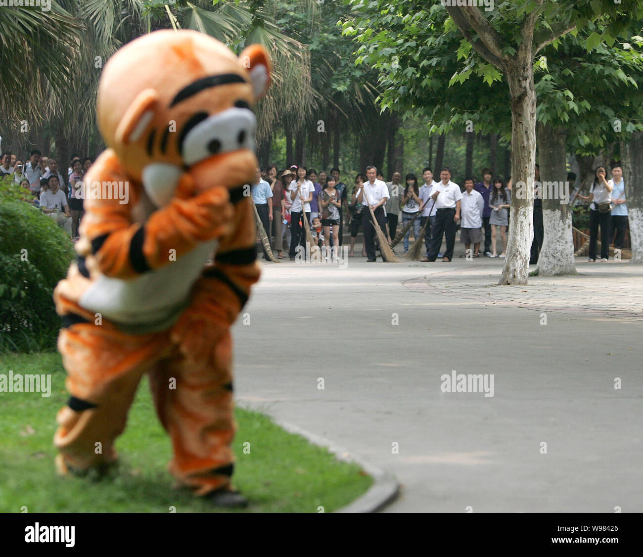 Tiger costume hi-res stock photography and images - Alamy