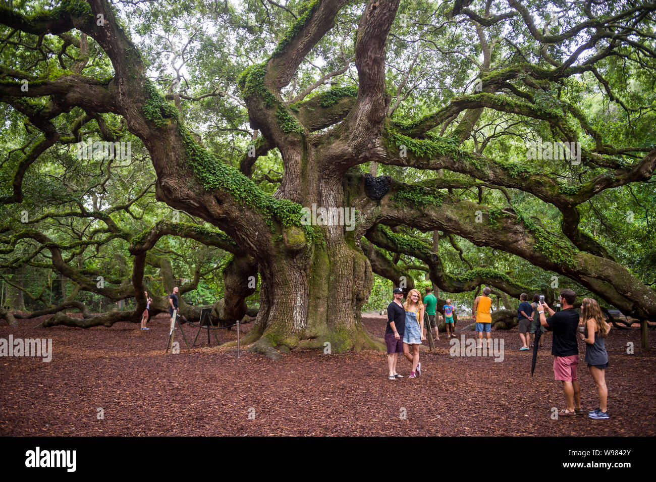 JOHNS ISLAND, SC, USA - AUGUST 3, 2019: Visitors pose in front of the ...