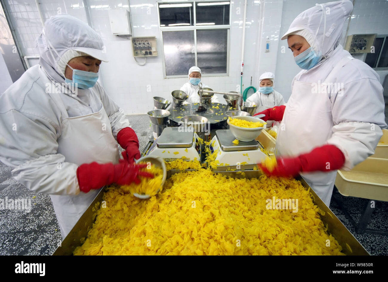 Chinese factory workers make Japanese pickles to be exported to Japan ...