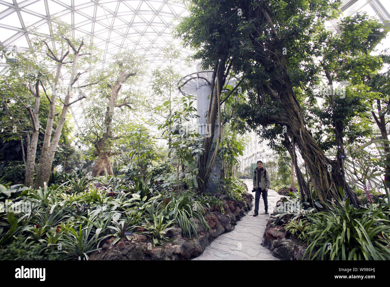 A visitor enjoys the vast greenery at Chenshan Botanical Garden in ...