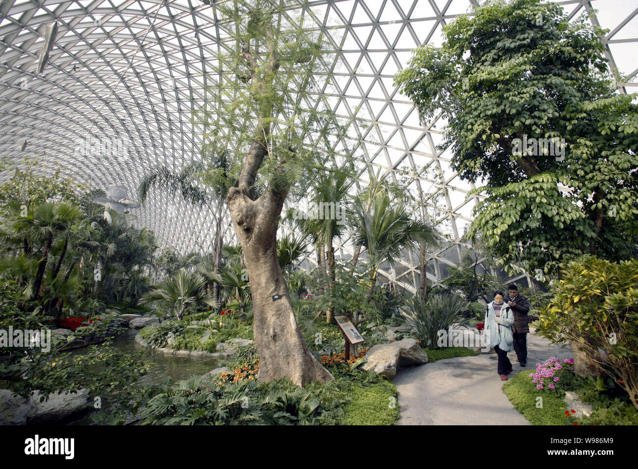 Visitors enjoy the vast greenery at Chenshan Botanical Garden in ...