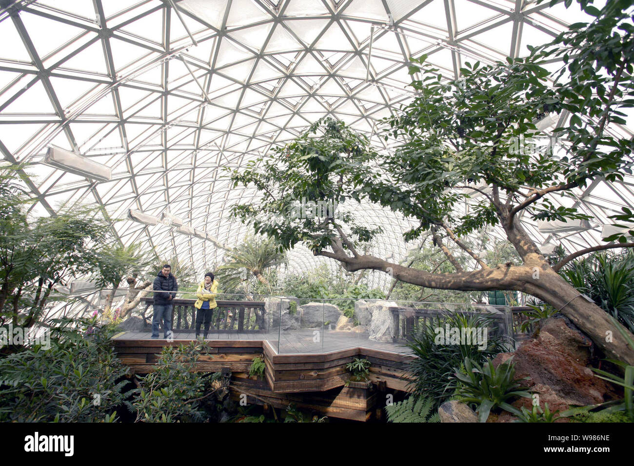 Visitors enjoy the vast greenery at Chenshan Botanical Garden in ...
