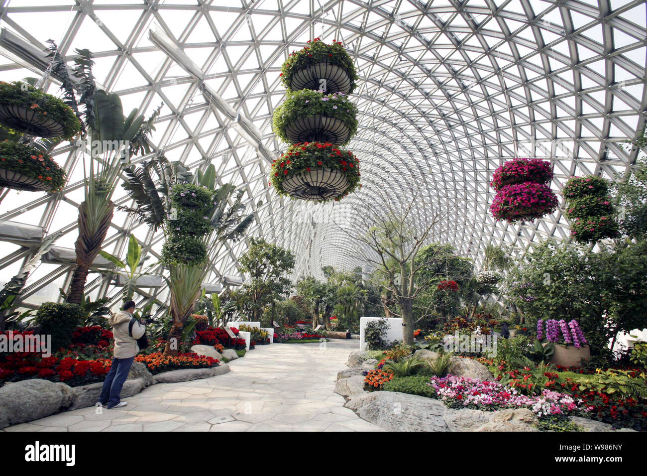 A visitor takes photos of various kinds of plants at Chenshan Botanical ...