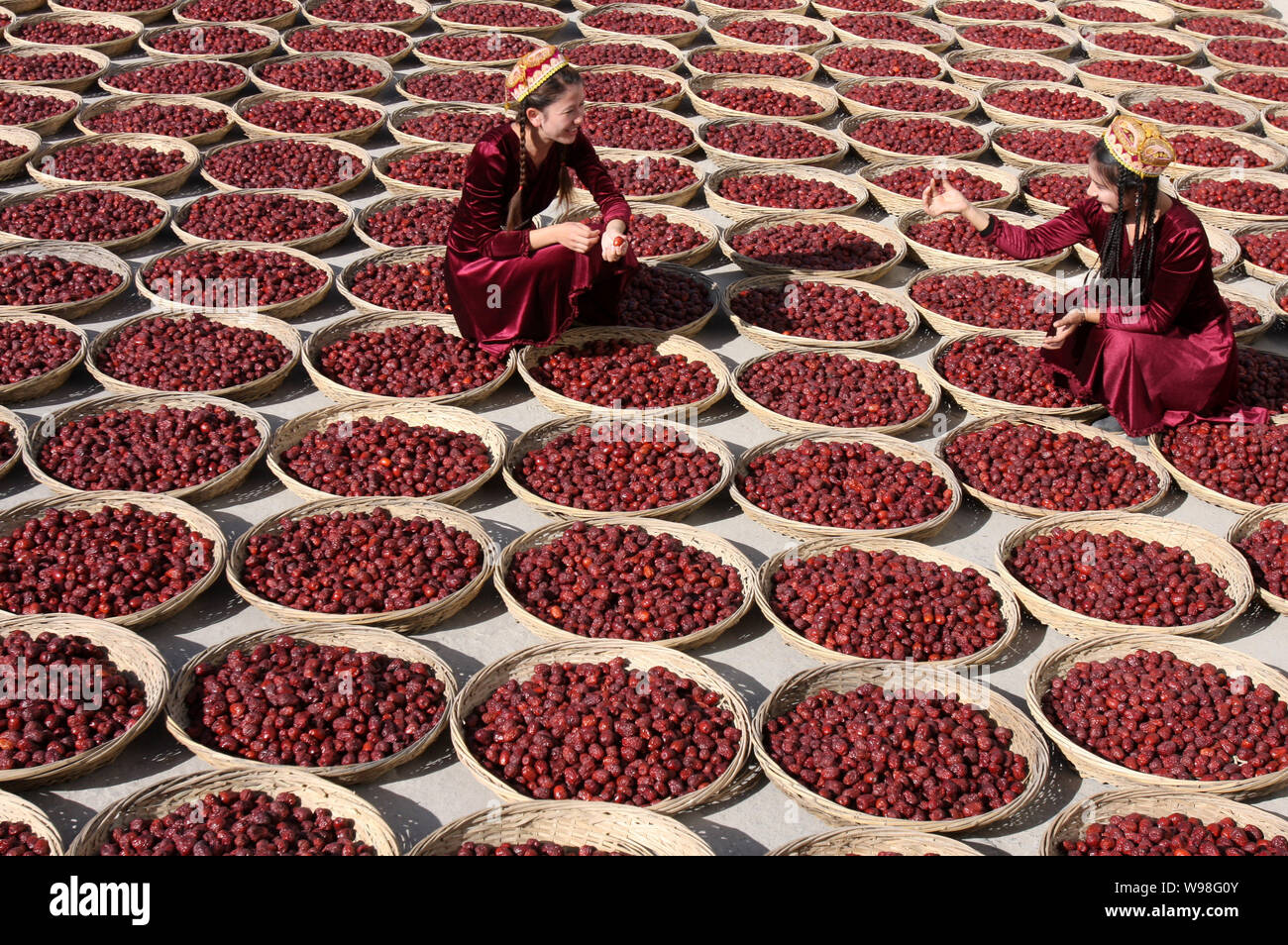 --FILE--Young Chinese Uighur women dry jujube fruits, also called ...