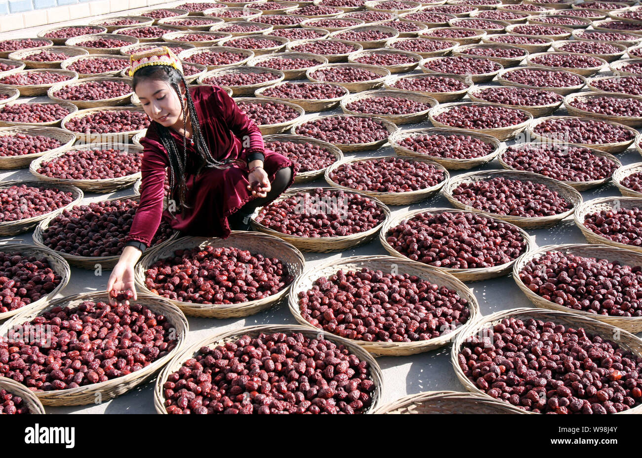 --FILE--A young Chinese Uighur woman dries jujube fruits, also called ...
