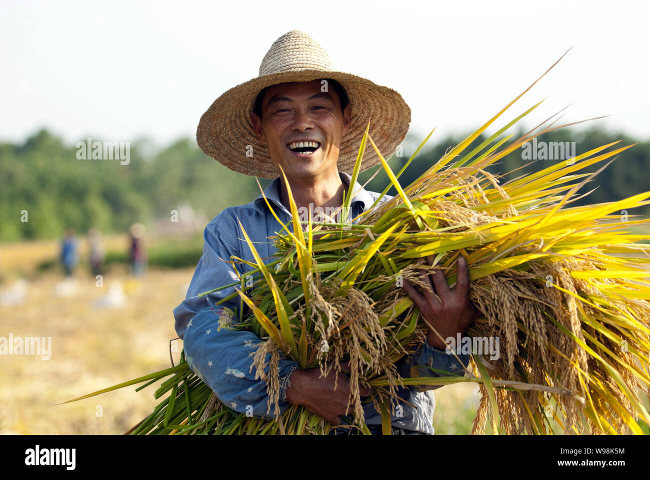 --FILE--A Chinese farmer laughes to show his pleasure while harvesting ...