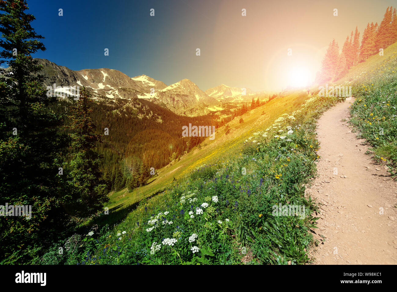 Sunlight shines on a dirt hiking trail in a Colorado Rocky Mountain ...