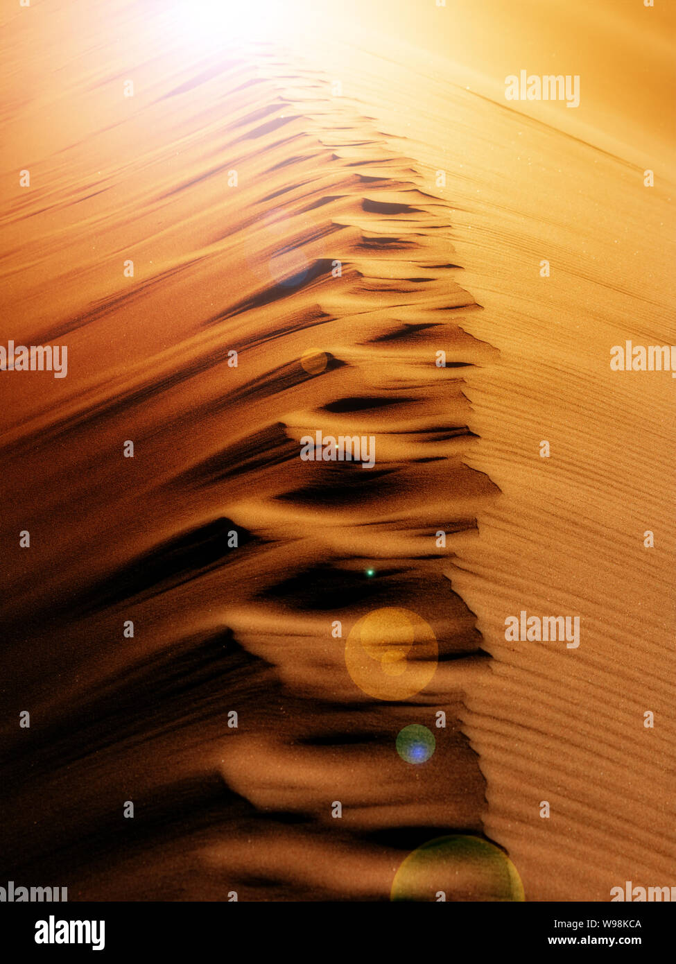 Trail of footprints into the sunlight, faded in the desert wind Stock ...
