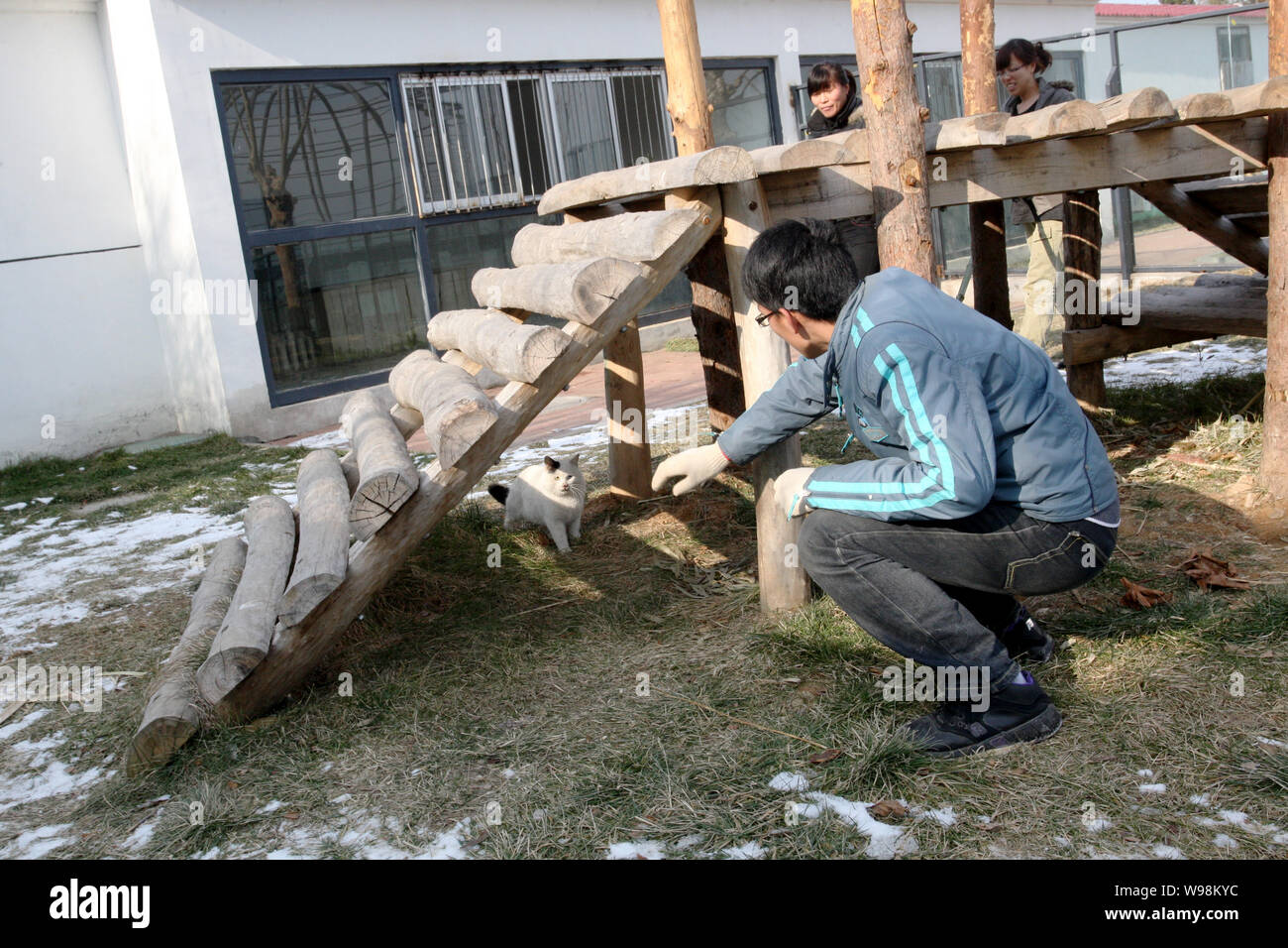 Zoo workers hi-res stock photography and images - Alamy