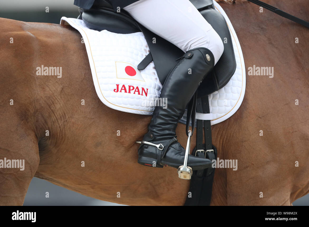 Tokyo, Japan. 12th Aug, 2019. Kazuya Otomo & Ghs Calvaruise (JPN ...