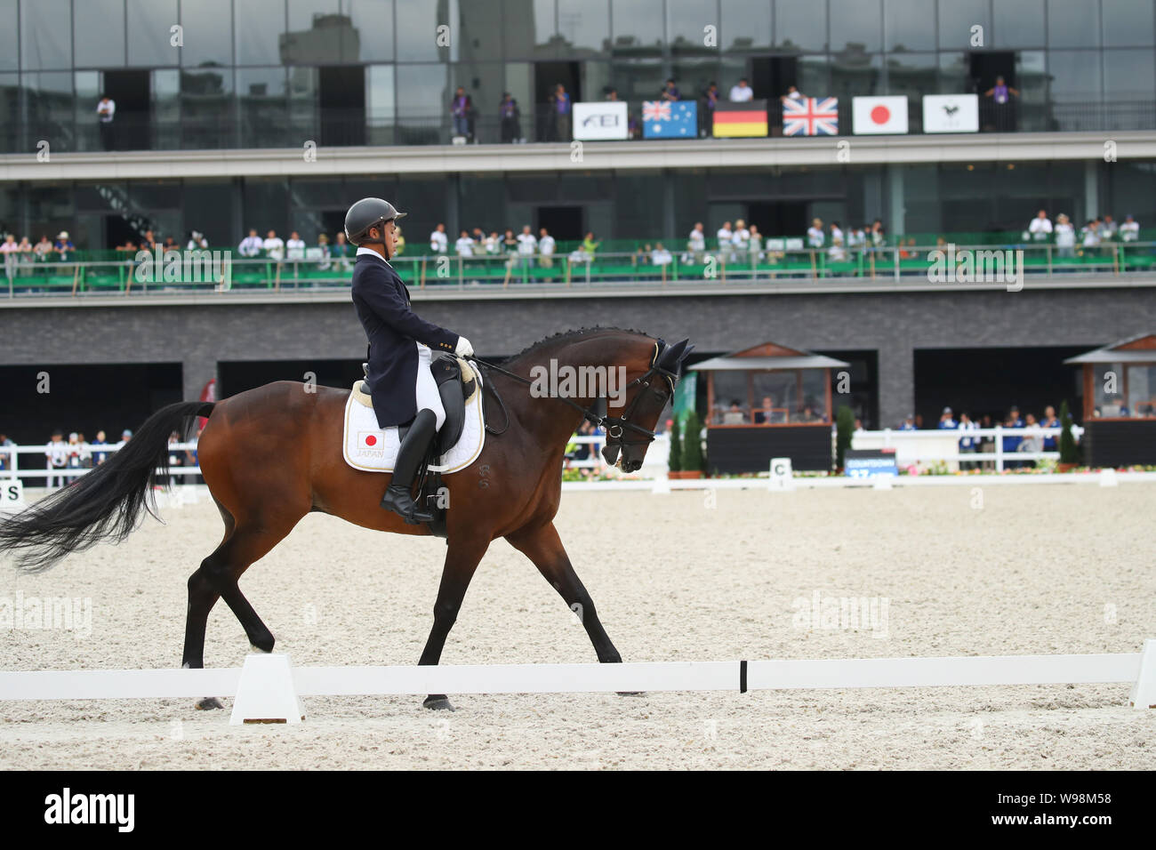 Tokyo, Japan. 12th Aug, 2019. Kenta Hiranaga & Koko Doro (JPN ...