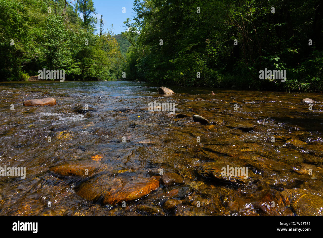 Water gently flowing down Abrams Creek. Smoky Mountains National Park ...