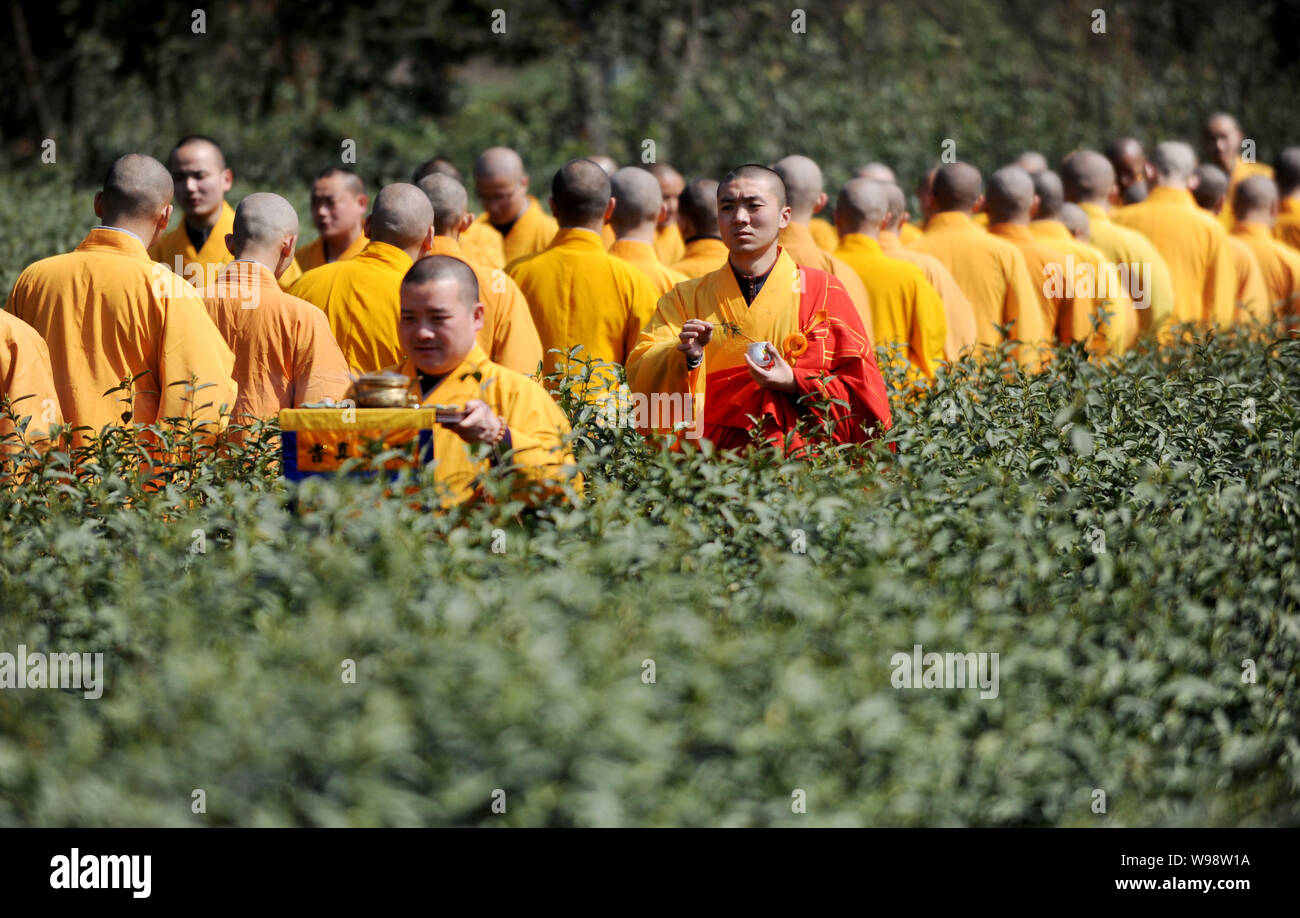 Chinese monks from the Buddhist Academy of Hangzhou pick the Fajing zen ...