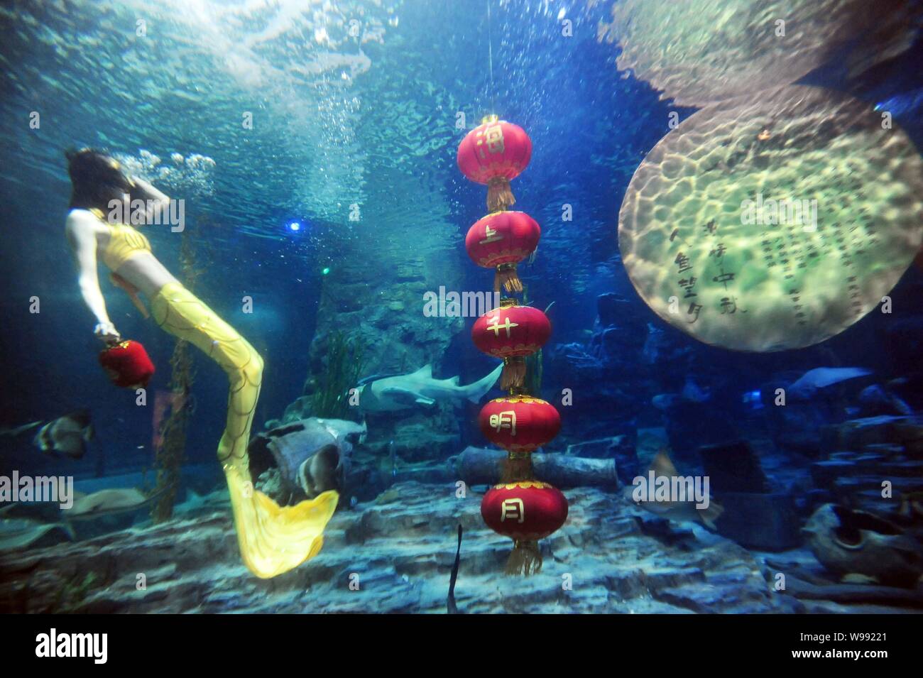 Sea World Mermaids