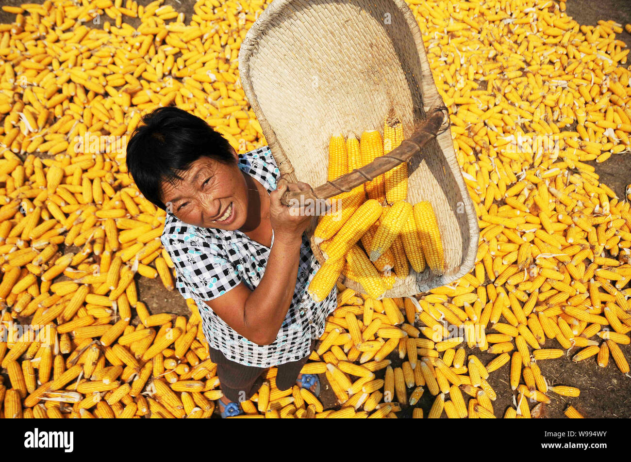 Nanyang city henan province china hi-res stock photography and images ...