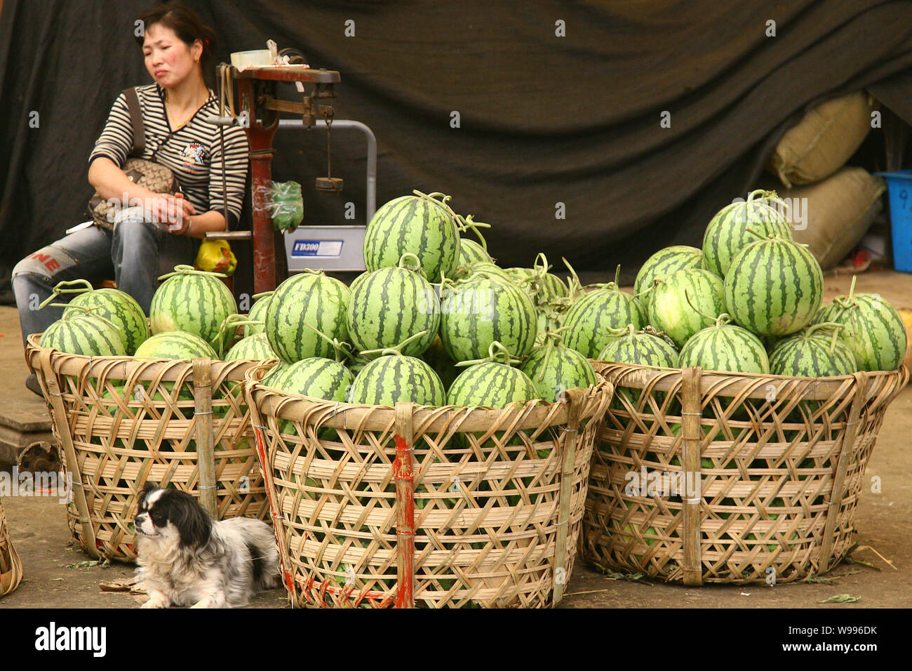 A fed-up watermelon seller sits in front of her stall at a fruit market ...