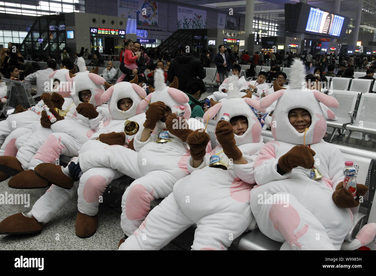Chinese staff dressed in cow costumes are seen at the waiting hall of ...