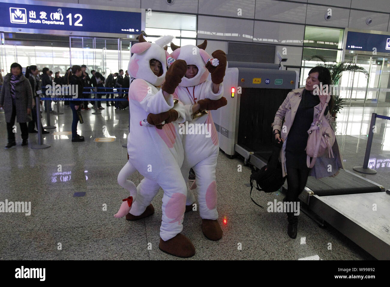 Chinese staff dressed in cow costumes pose by a passenger at Shanghai ...