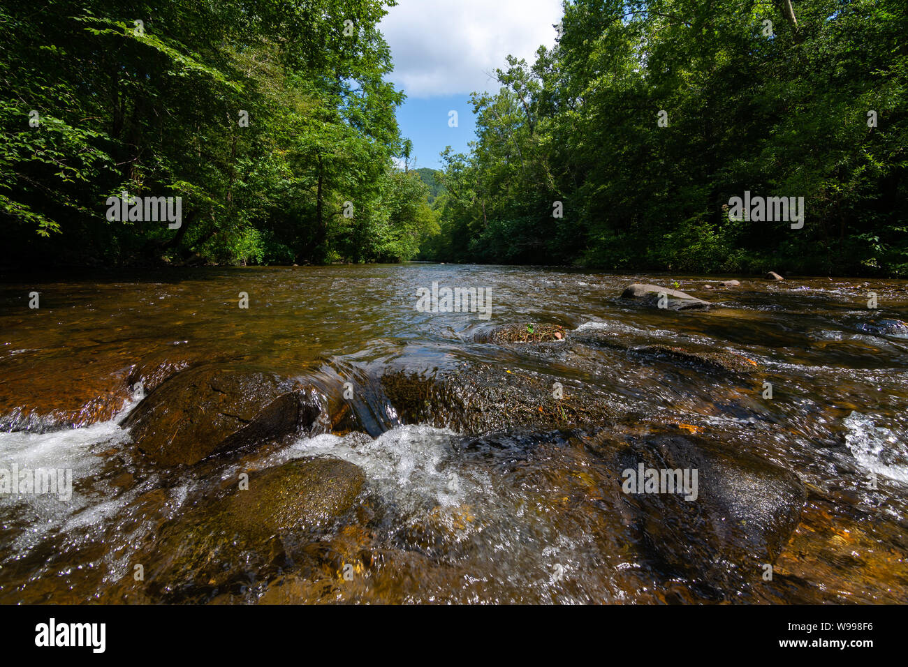 Water gently flowing down Abrams Creek. Smoky Mountains National Park ...
