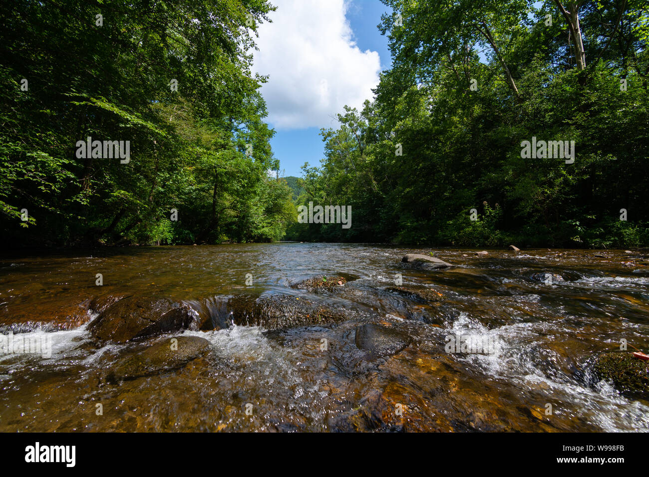 Water gently flowing down Abrams Creek. Smoky Mountains National Park ...