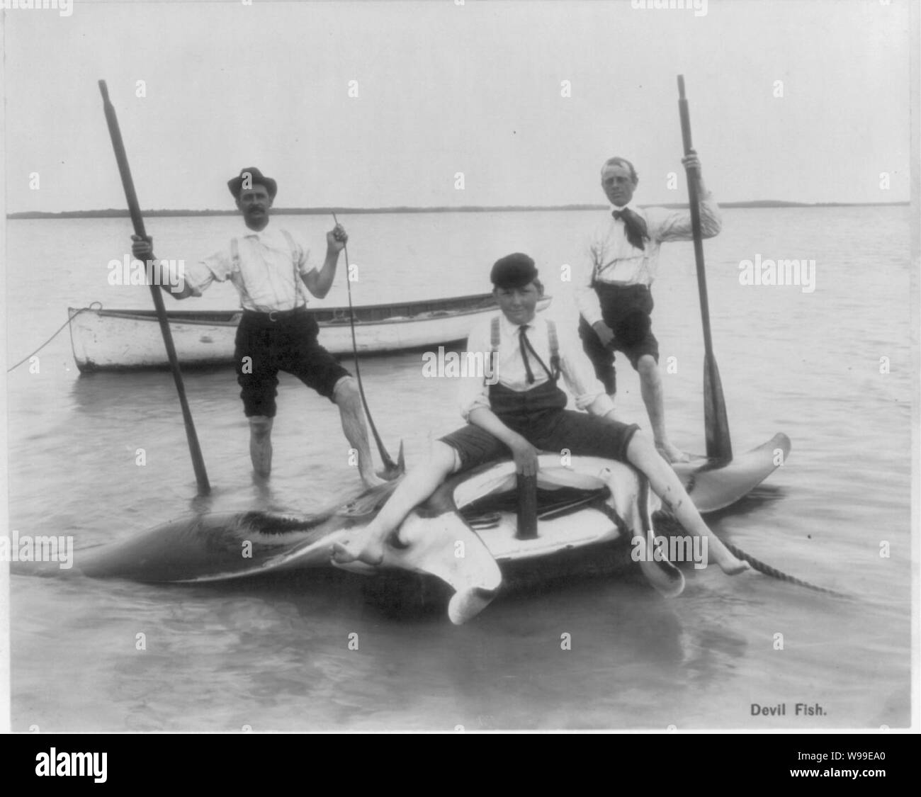 Devil fish Black and White Stock Photos & Images - Alamy