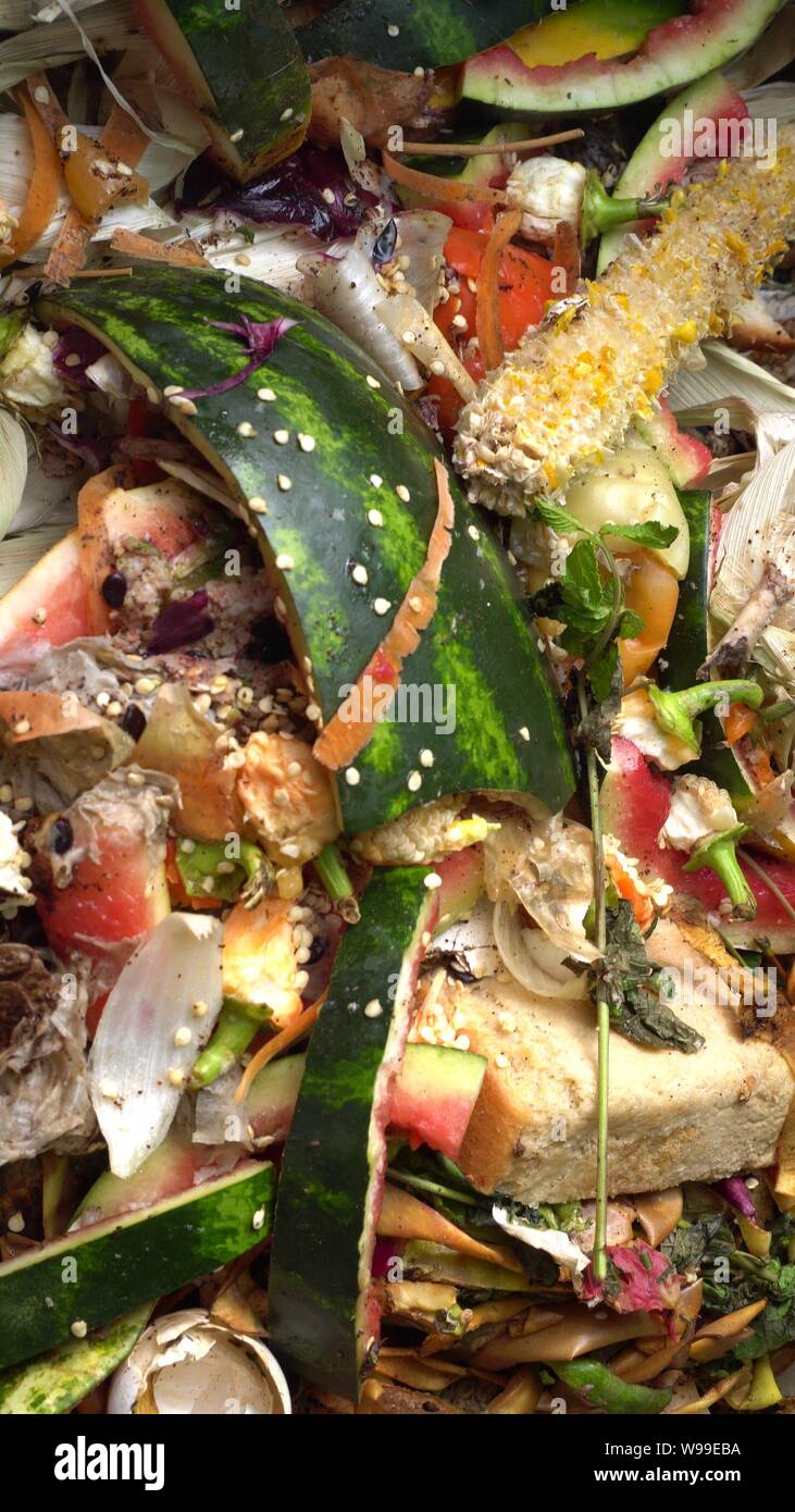 Compost box. Food loss reduction. Zero waste. Recycling and composting ...