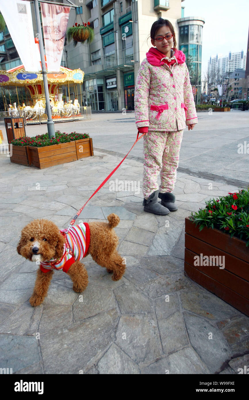 A young Chinese woman wearing pajamas walks her pet dog on a street in ...