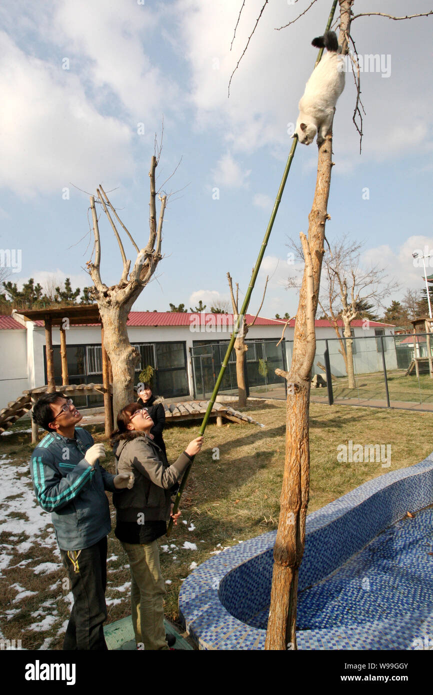 Zoo workers hi-res stock photography and images - Alamy