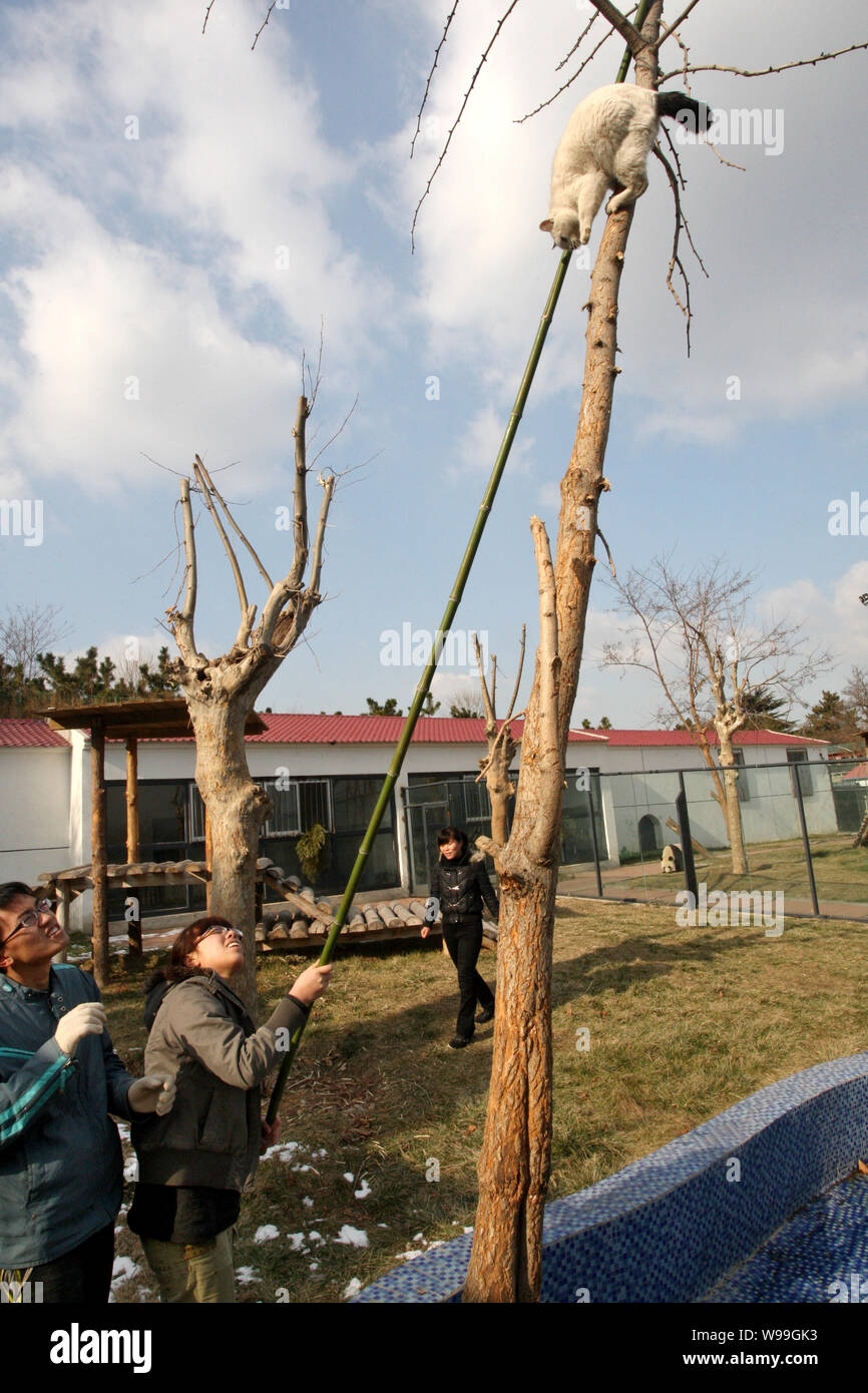Zoo workers hi-res stock photography and images - Alamy