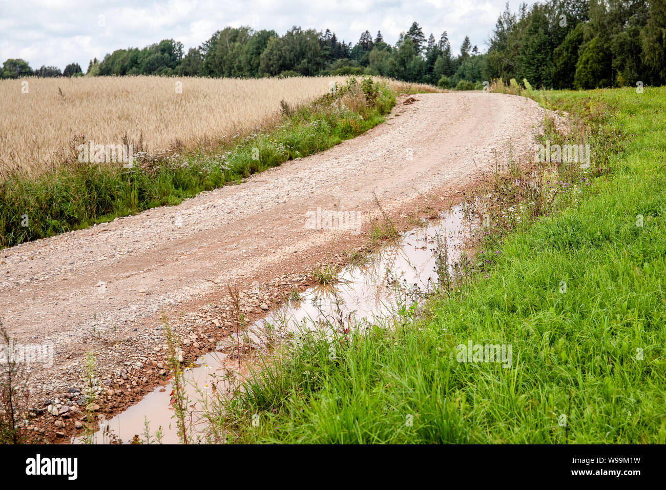 Flooded, muddy country road after rainfall and storm Stock Photo - Alamy