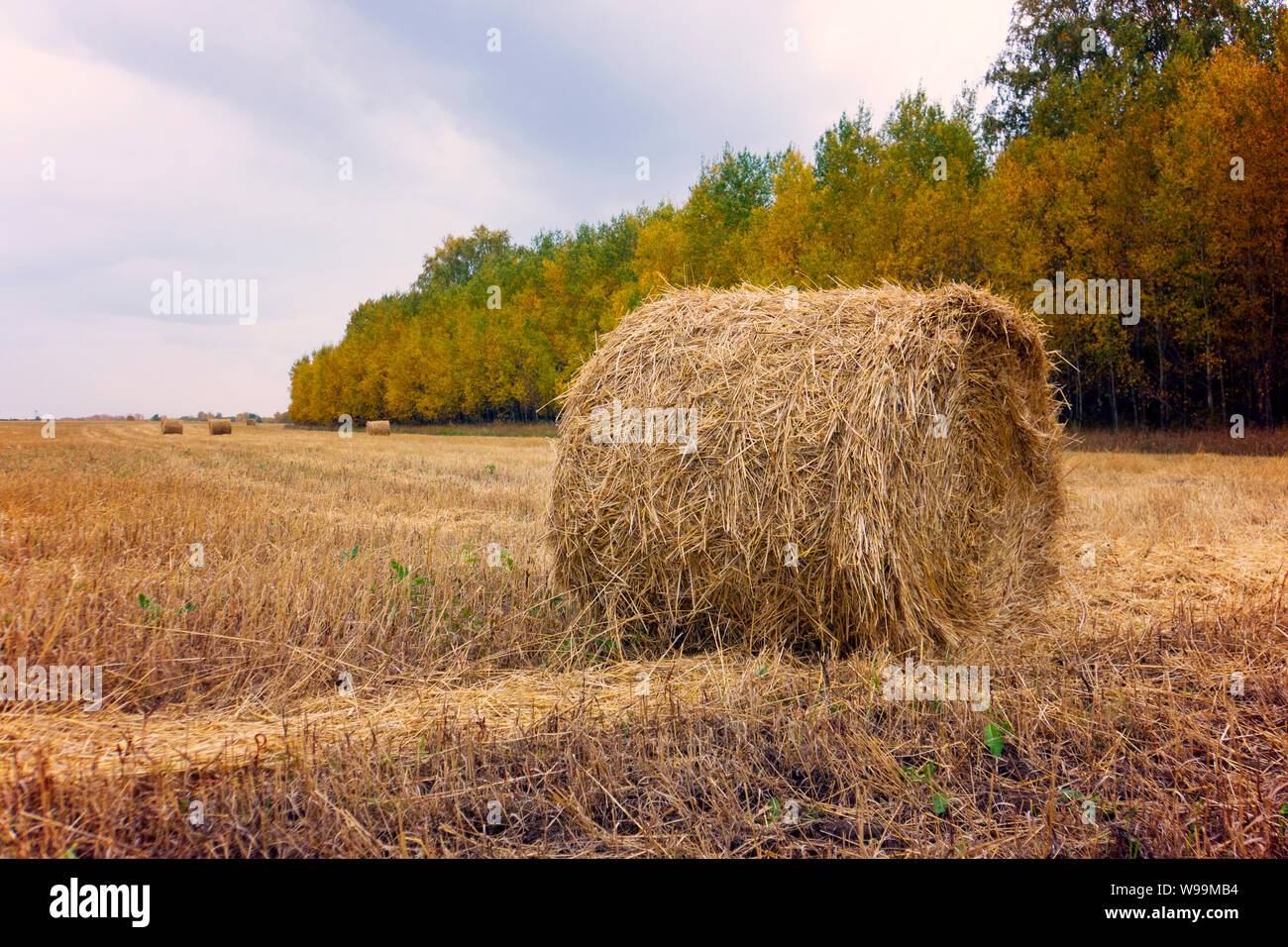 Hay bale. Haystack harvest field. ountryside natural landscape ...